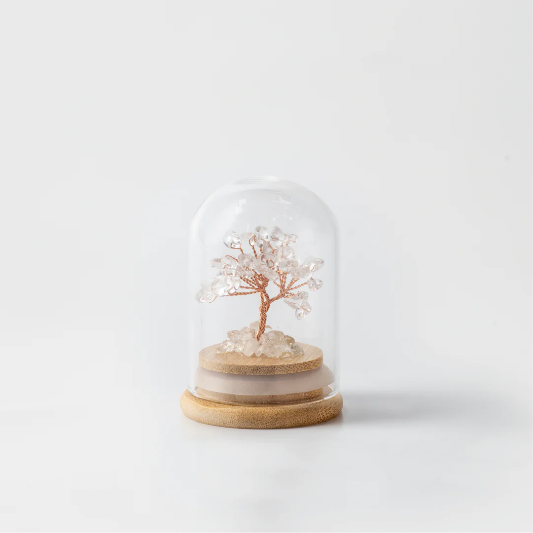Preserved White Crystal Tree – Ema's Table