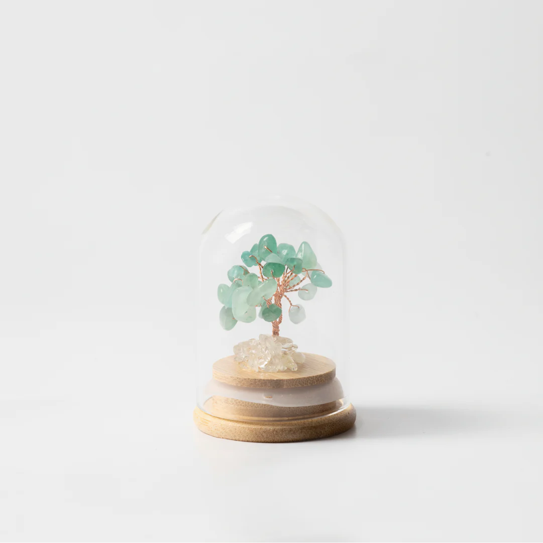 Preserved Green Crystal Tree – Ema's Table