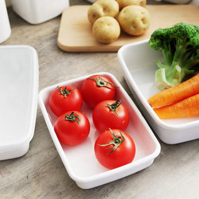 Enamel Food Storage Container - Shallow Type – Ema's Table